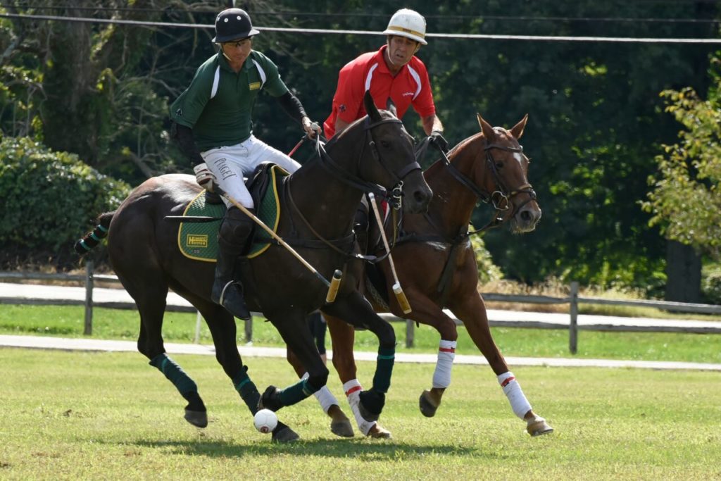 Perfectly Polo (Dressing up for a Cause) - Moxie Mama